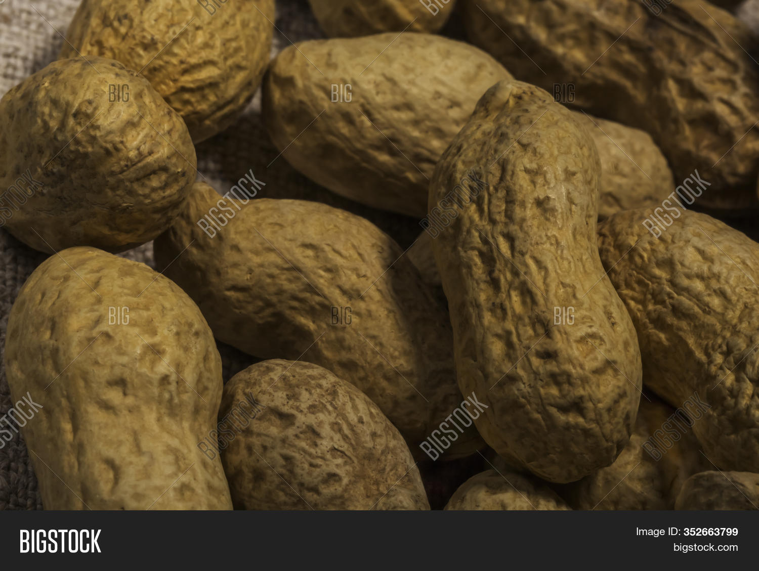 Composition Peanuts Image & Photo (Free Trial) | Bigstock