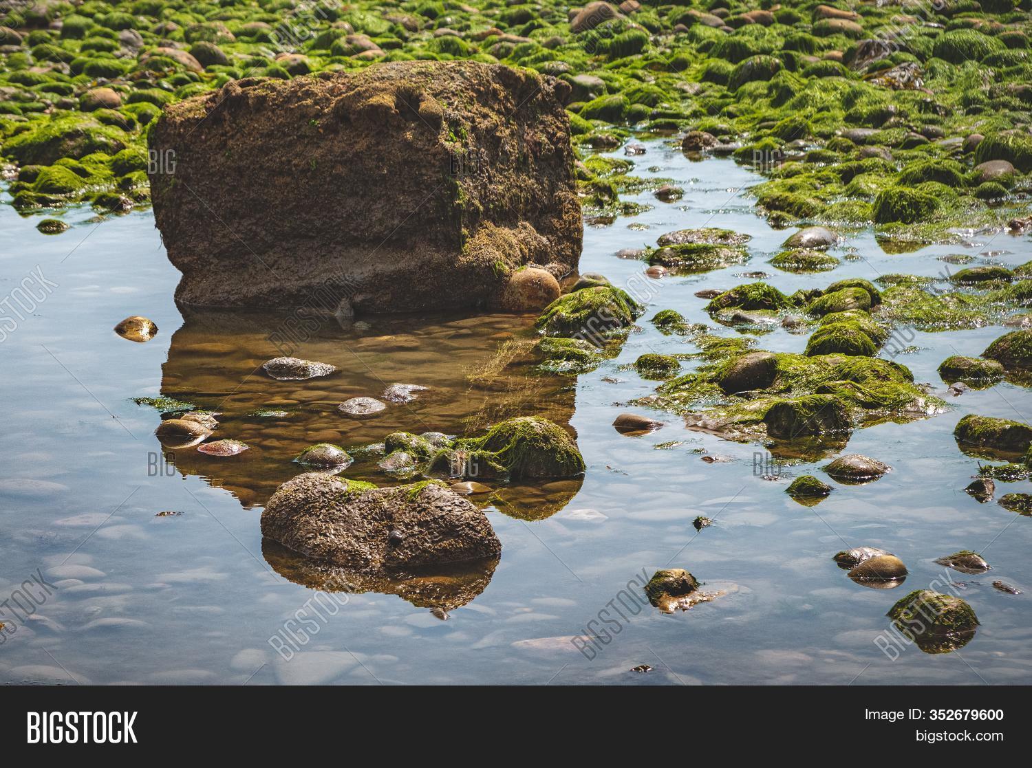 Rocks Moss On Seabed Image & Photo (Free Trial) | Bigstock