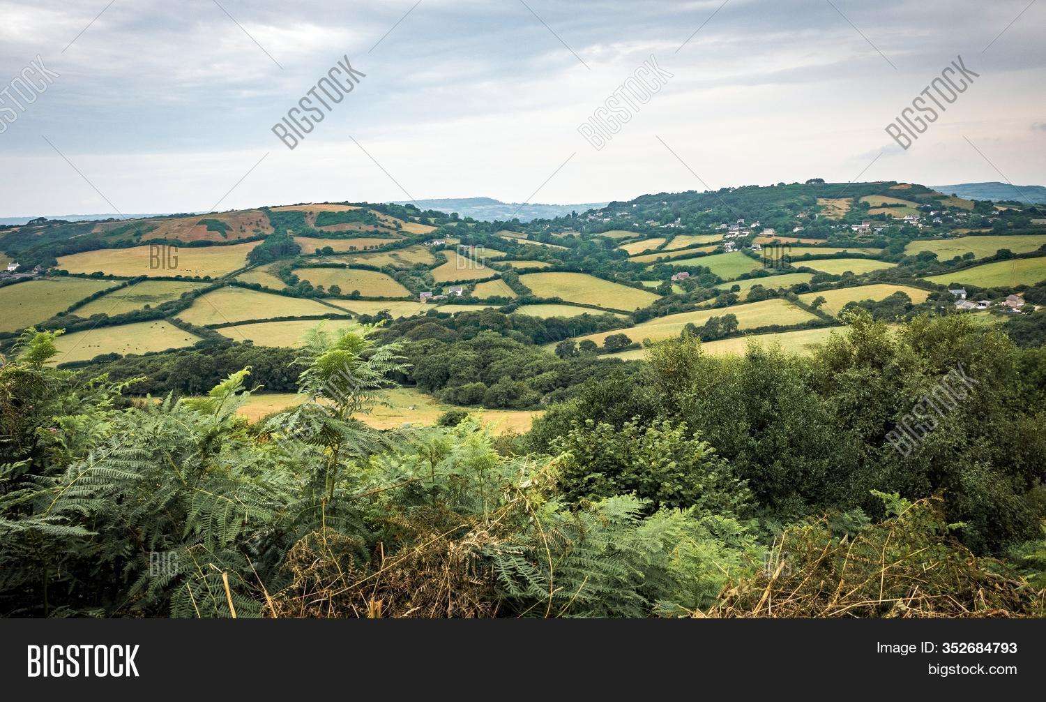 Green Fields On Hill Image & Photo (Free Trial) | Bigstock