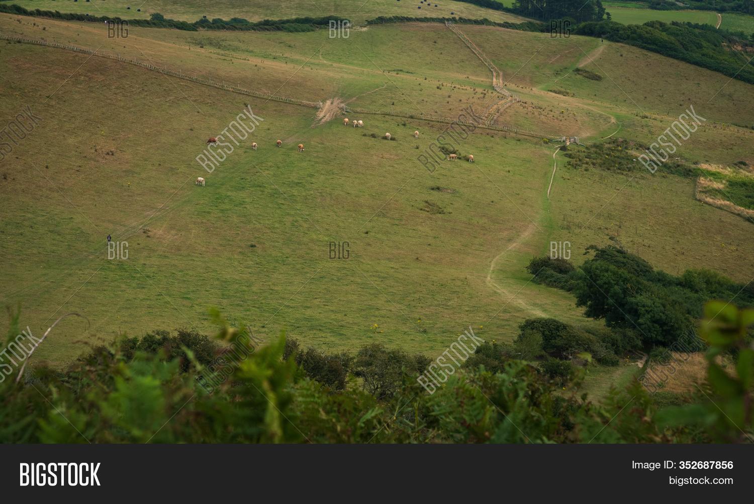 Green Fields On Hill Image & Photo (Free Trial) | Bigstock
