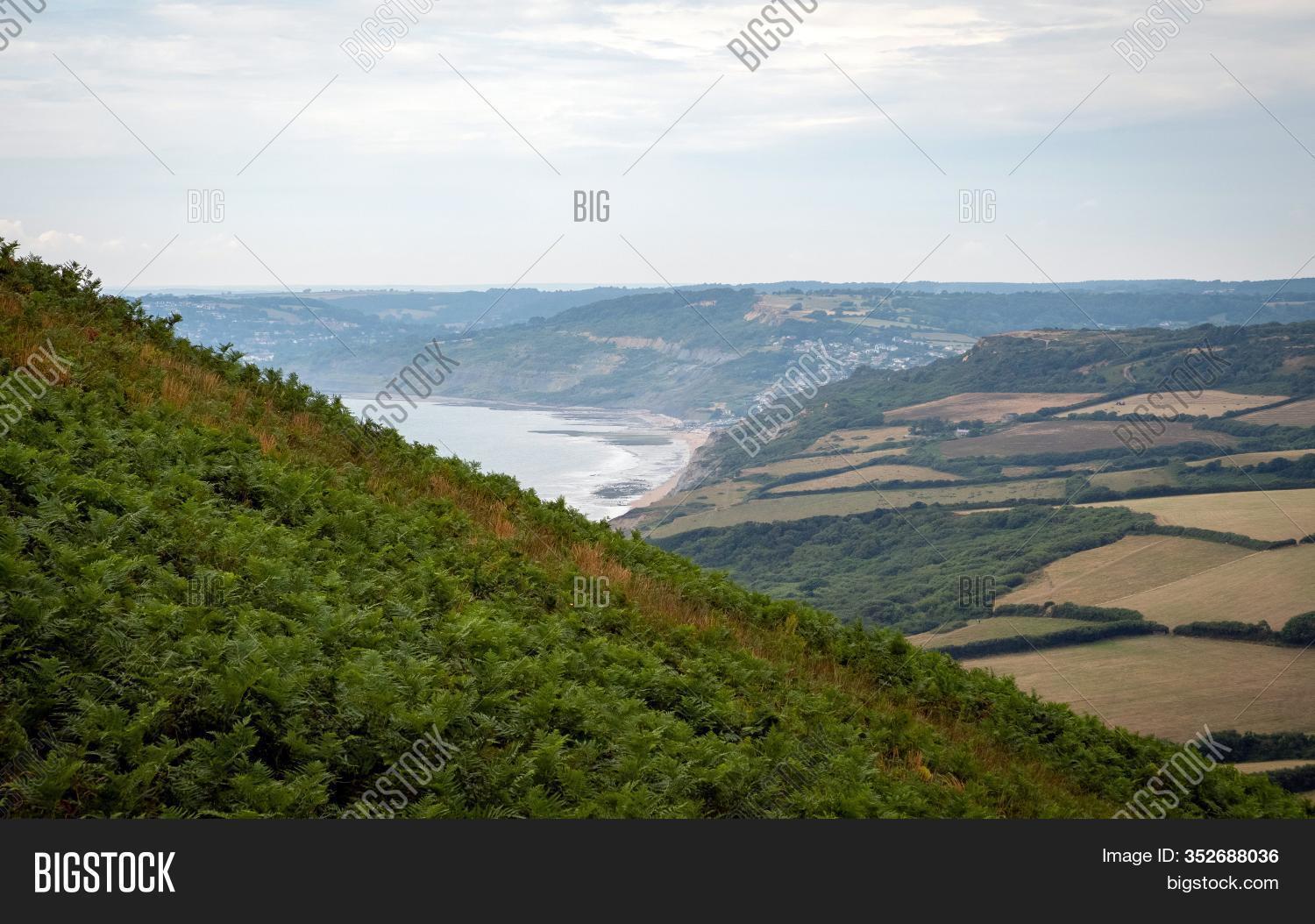 Green Fields On Hill Image & Photo (Free Trial) | Bigstock