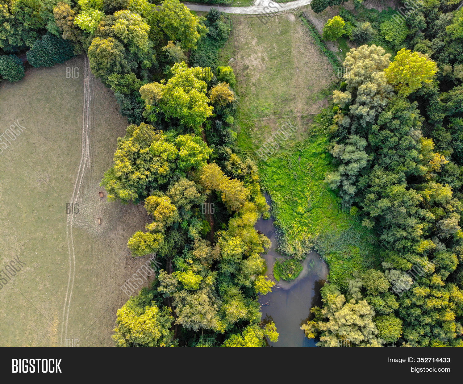Aerial View Forest Image & Photo (Free Trial) | Bigstock