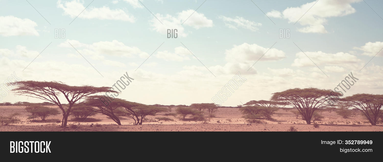 African Landscapes - Image & Photo (Free Trial) | Bigstock