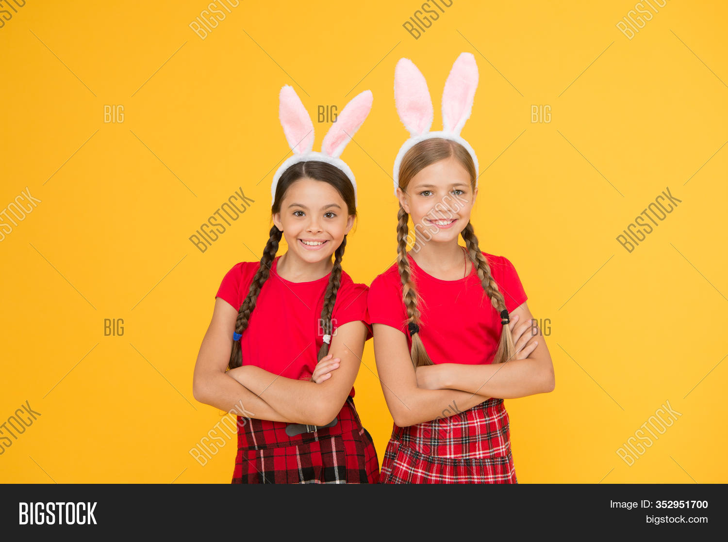 Bunny Team. Image & Photo (Free Trial) | Bigstock