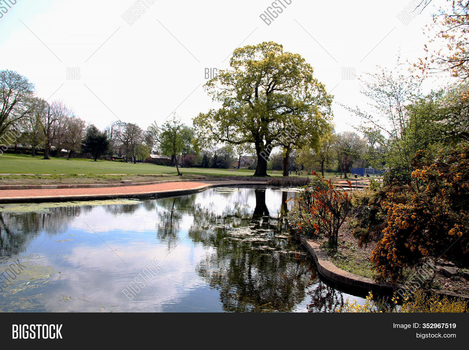 Beautiful Lake Park Image & Photo (Free Trial) | Bigstock