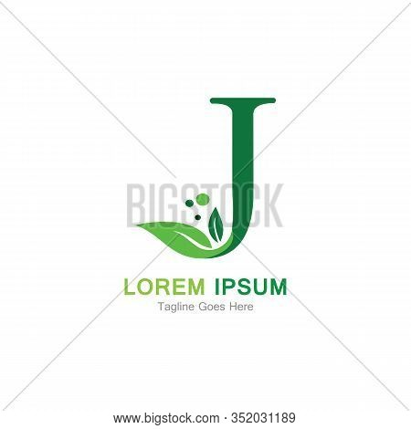 Letter J Leaf Logo Vector & Photo (Free Trial) | Bigstock