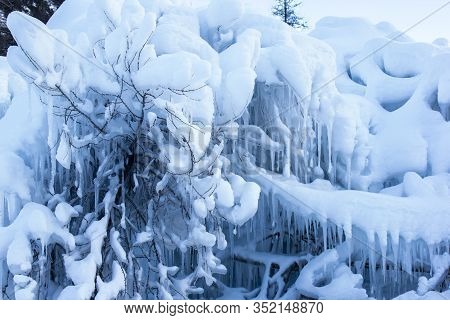 Trees Overloaded Snow Image & Photo (Free Trial) | Bigstock