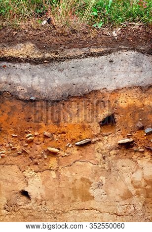 Soil Profile Podzol Image & Photo (Free Trial) | Bigstock