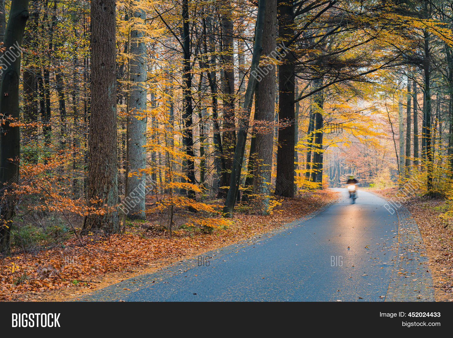 Horizontal Photo Path Image & Photo (Free Trial) | Bigstock
