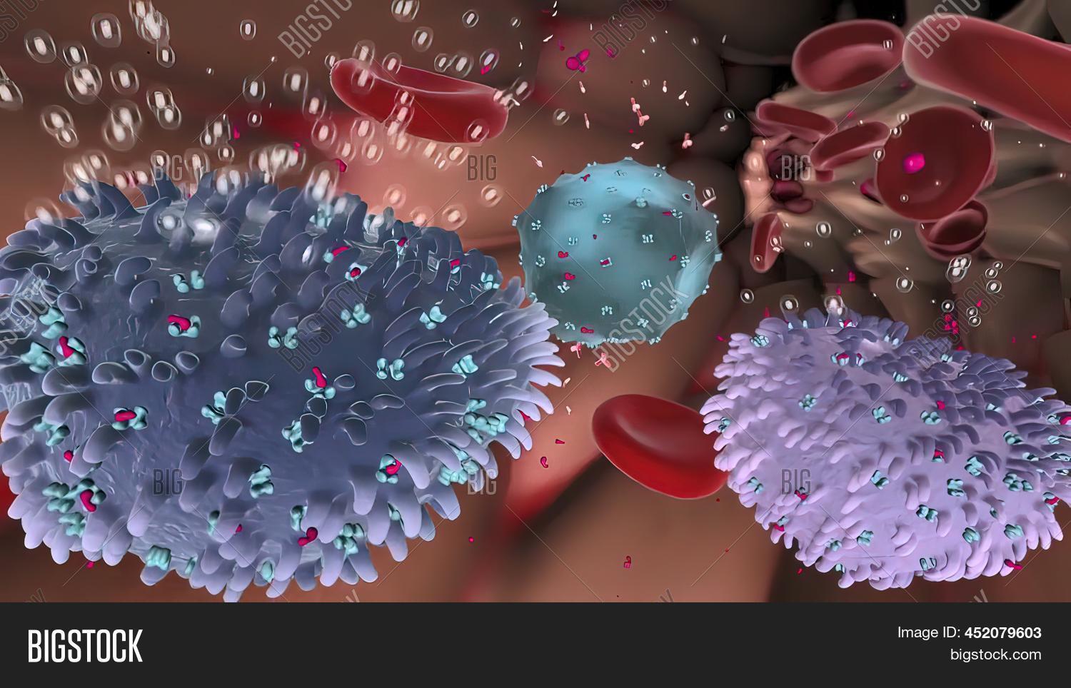 Immune System : White Image & Photo (Free Trial) | Bigstock