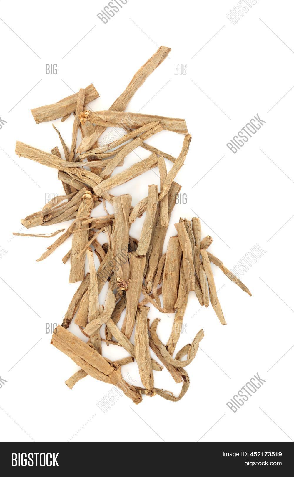 Stellaria Root Herb Image & Photo (Free Trial) | Bigstock