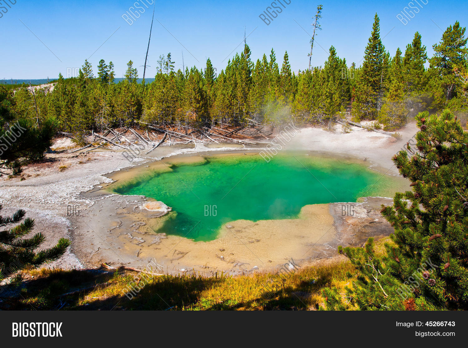 Green Hot Spring Pool Image & Photo (Free Trial) | Bigstock