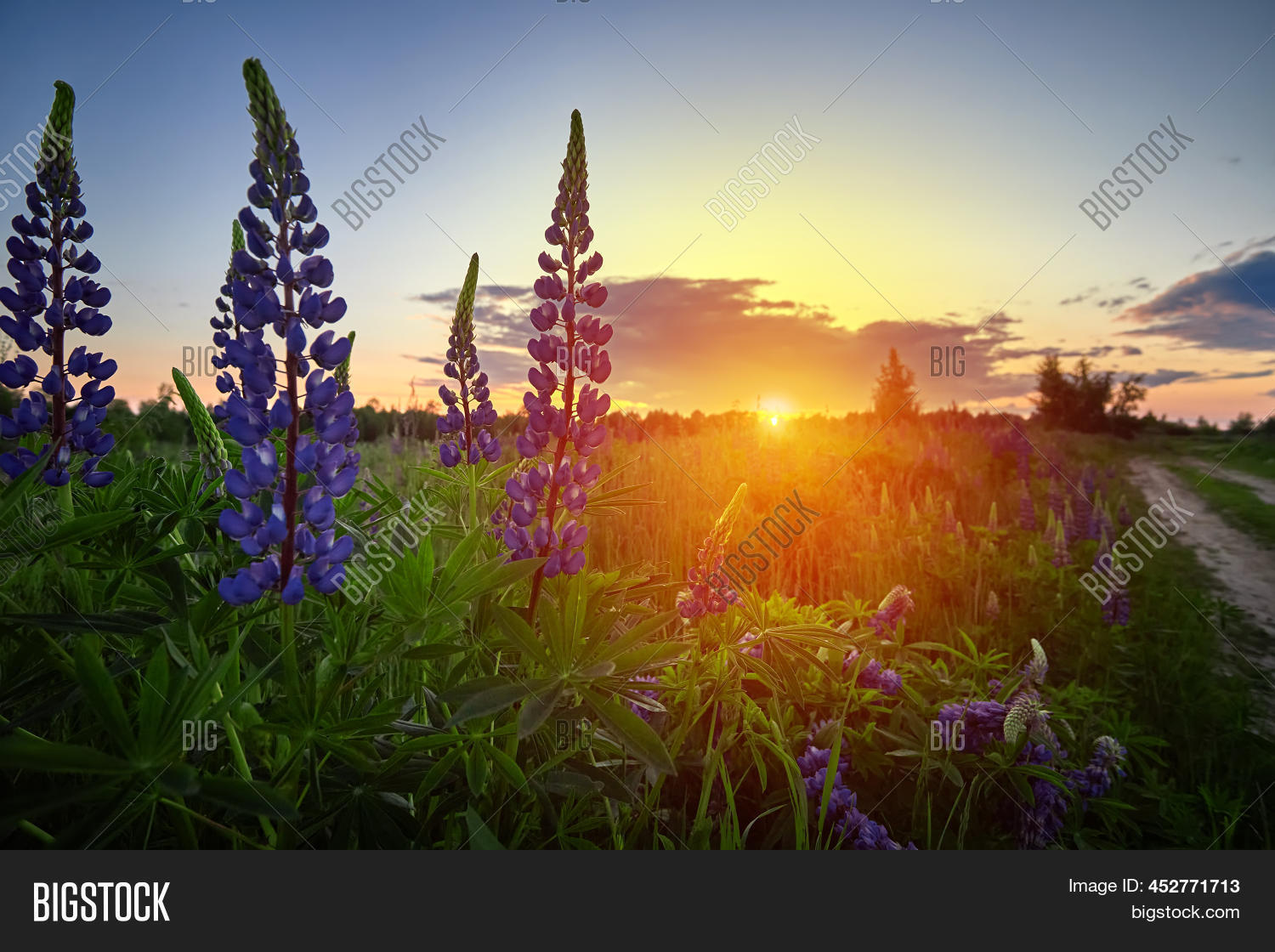 Summer Landscape Image & Photo (Free Trial) | Bigstock
