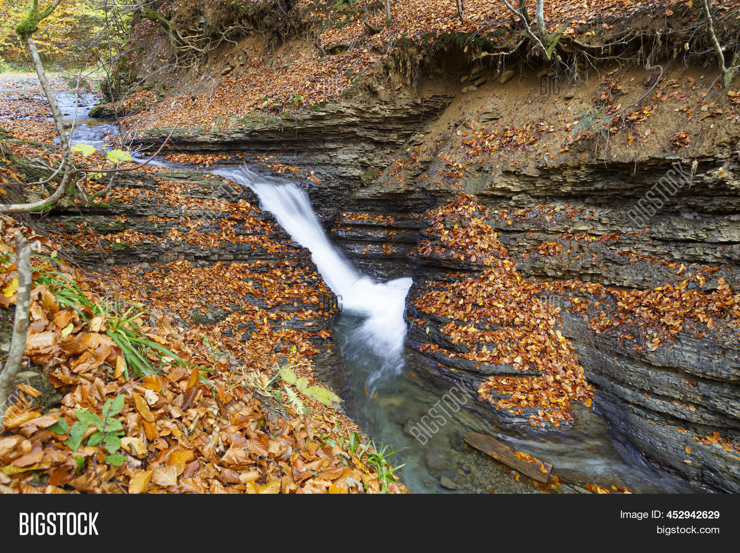 Nature Landscape Leaf Image & Photo (Free Trial) | Bigstock