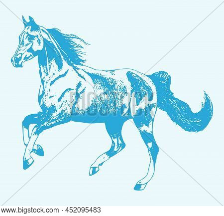 Sketch Running Horse Vector & Photo (Free Trial) | Bigstock
