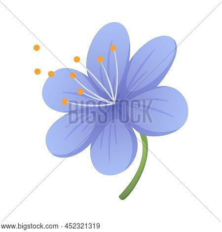 Flower Pollen Vector & Photo (Free Trial) | Bigstock