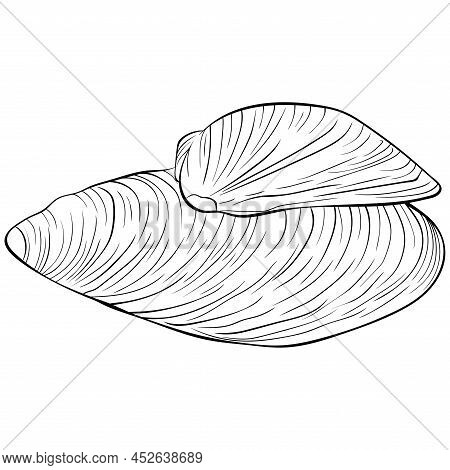 เวกเตอร์และภาพถ่าย (ทดลองใช้ฟรี) | Bigstock