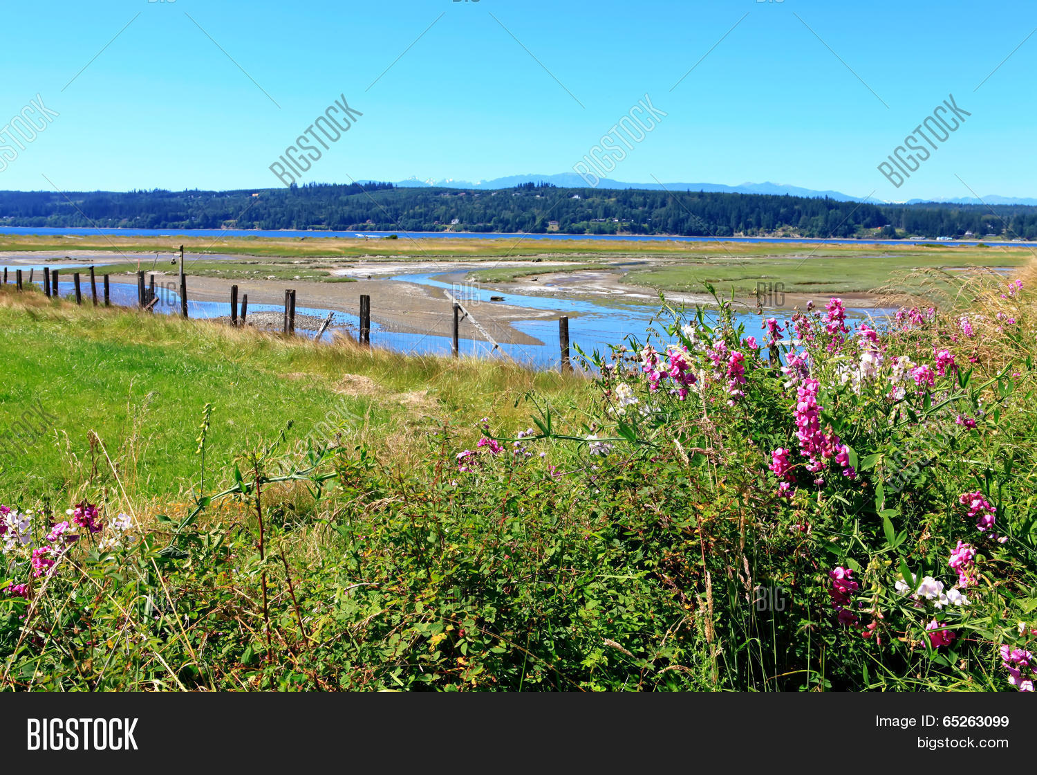 Marrowstone Island. Image & Photo (Free Trial) | Bigstock