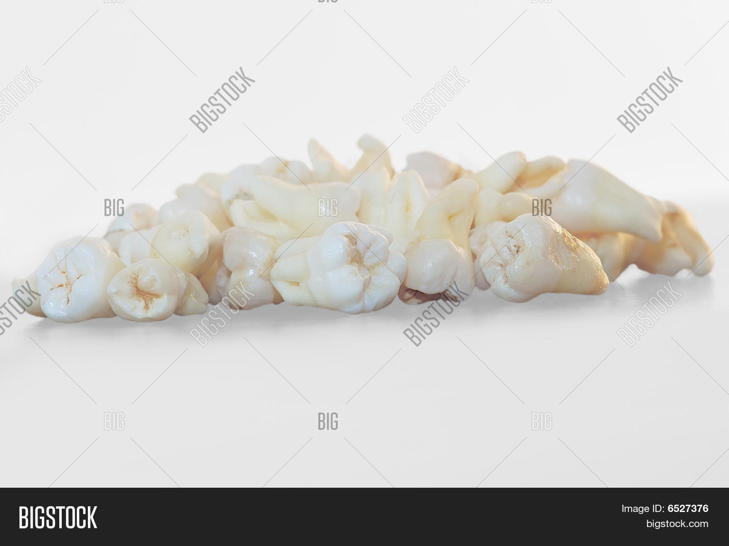 Real Human Wisdom Image & Photo (Free Trial) | Bigstock