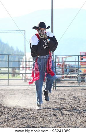 Rodeo Clown Images, Illustrations & Vectors (Free) - Bigstock