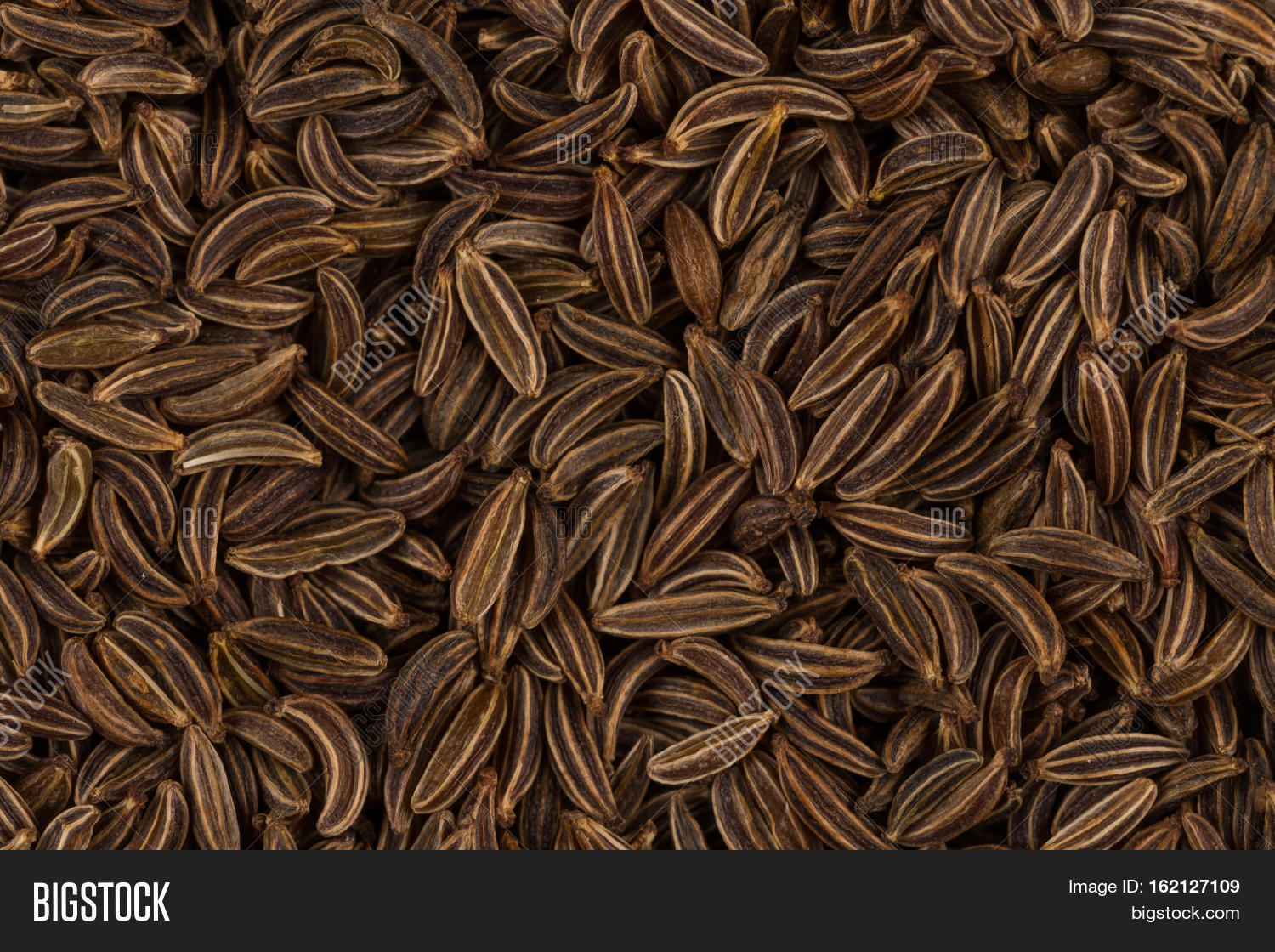 Close Caraway Seeds Image & Photo (Free Trial) | Bigstock