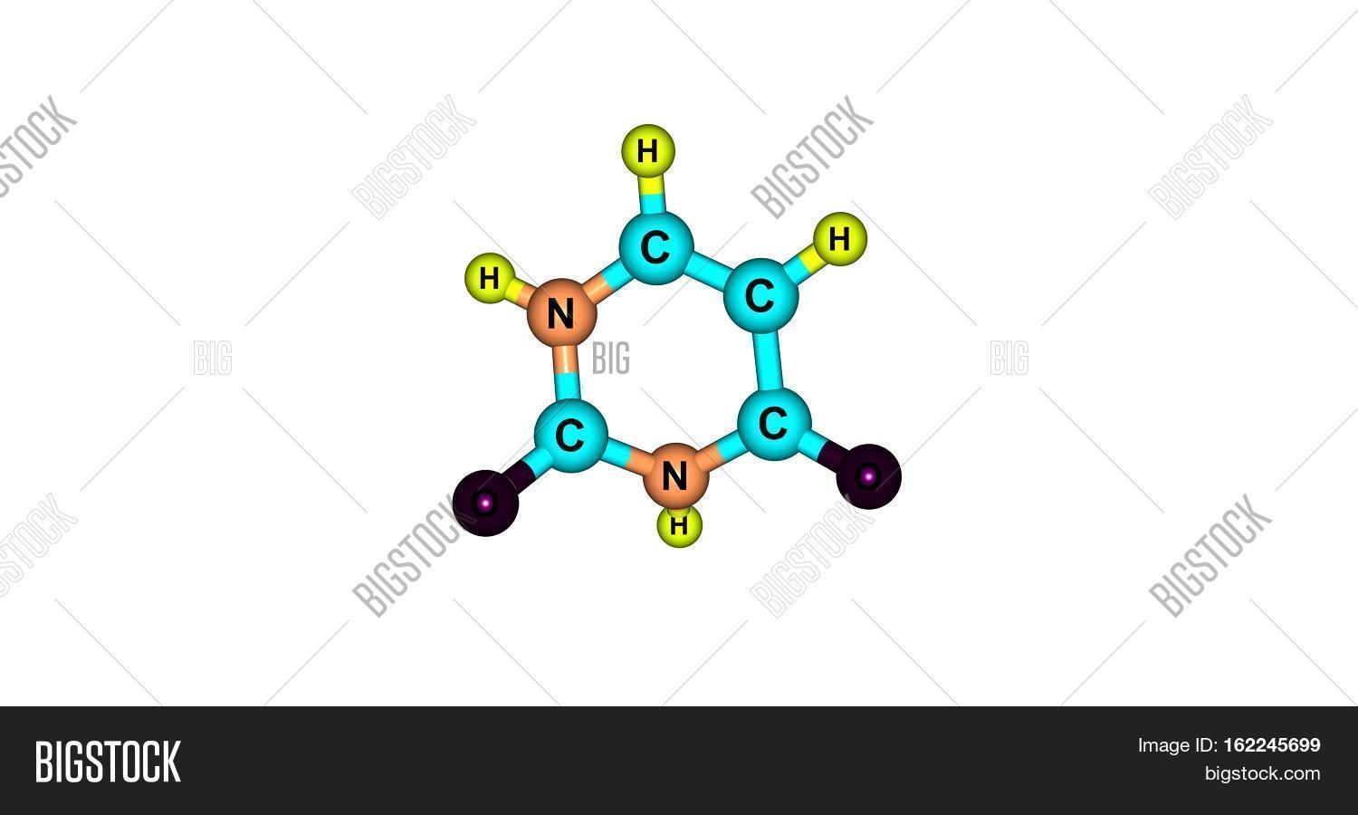 Uracil One Four Image & Photo (Free Trial) | Bigstock