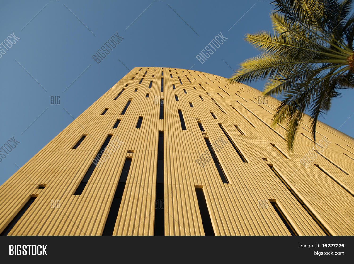 Unique Phoenix Arizona Image & Photo (Free Trial) | Bigstock