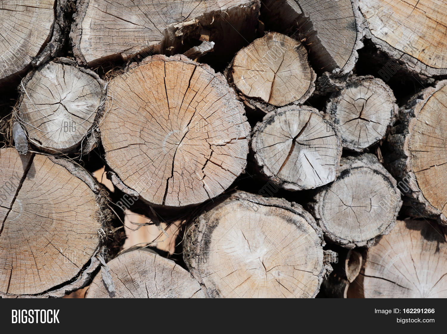 Pattern Brown Wood Log Image & Photo (Free Trial) | Bigstock