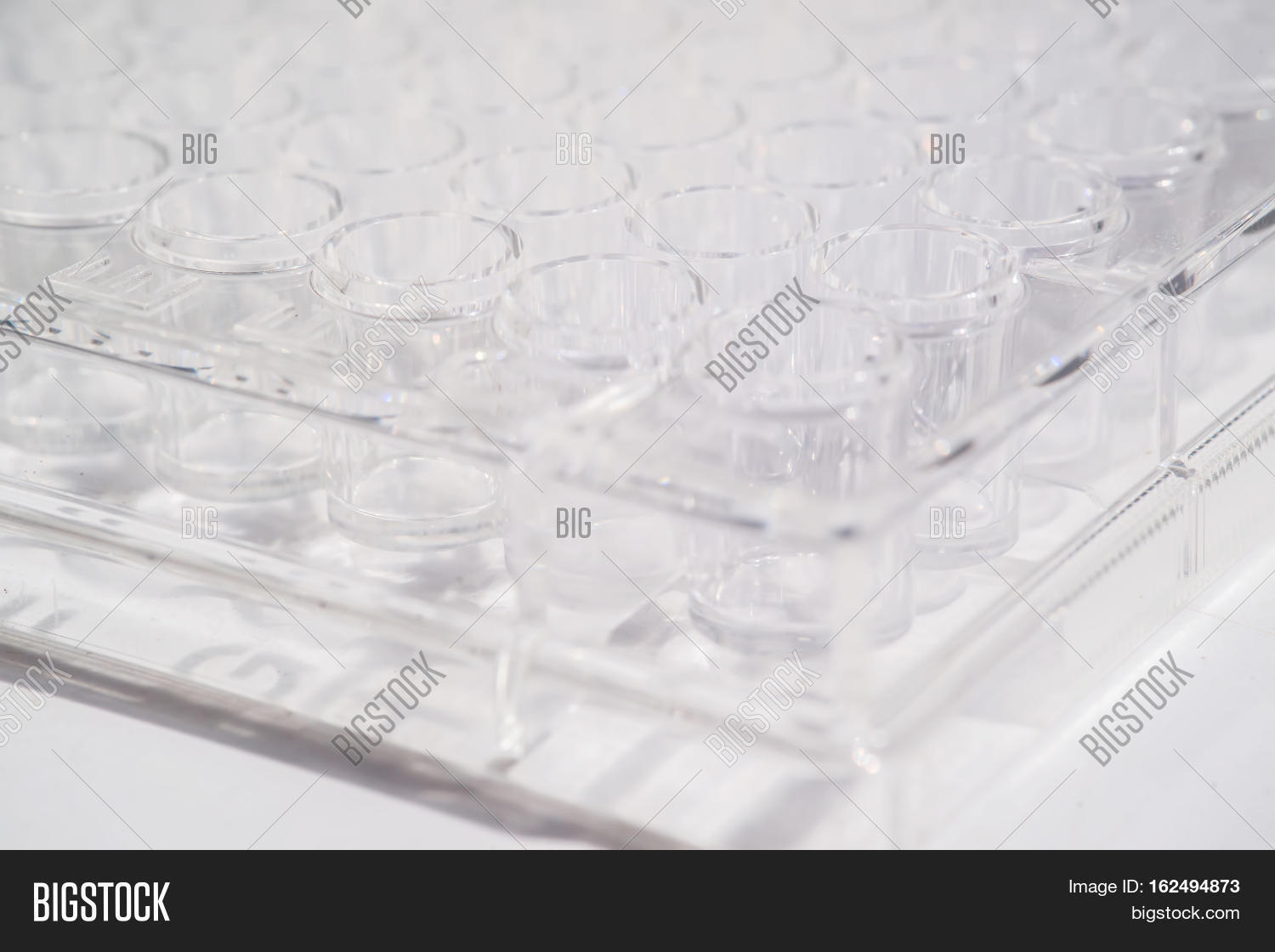 Close - 96 Well Plates Image & Photo (Free Trial) | Bigstock