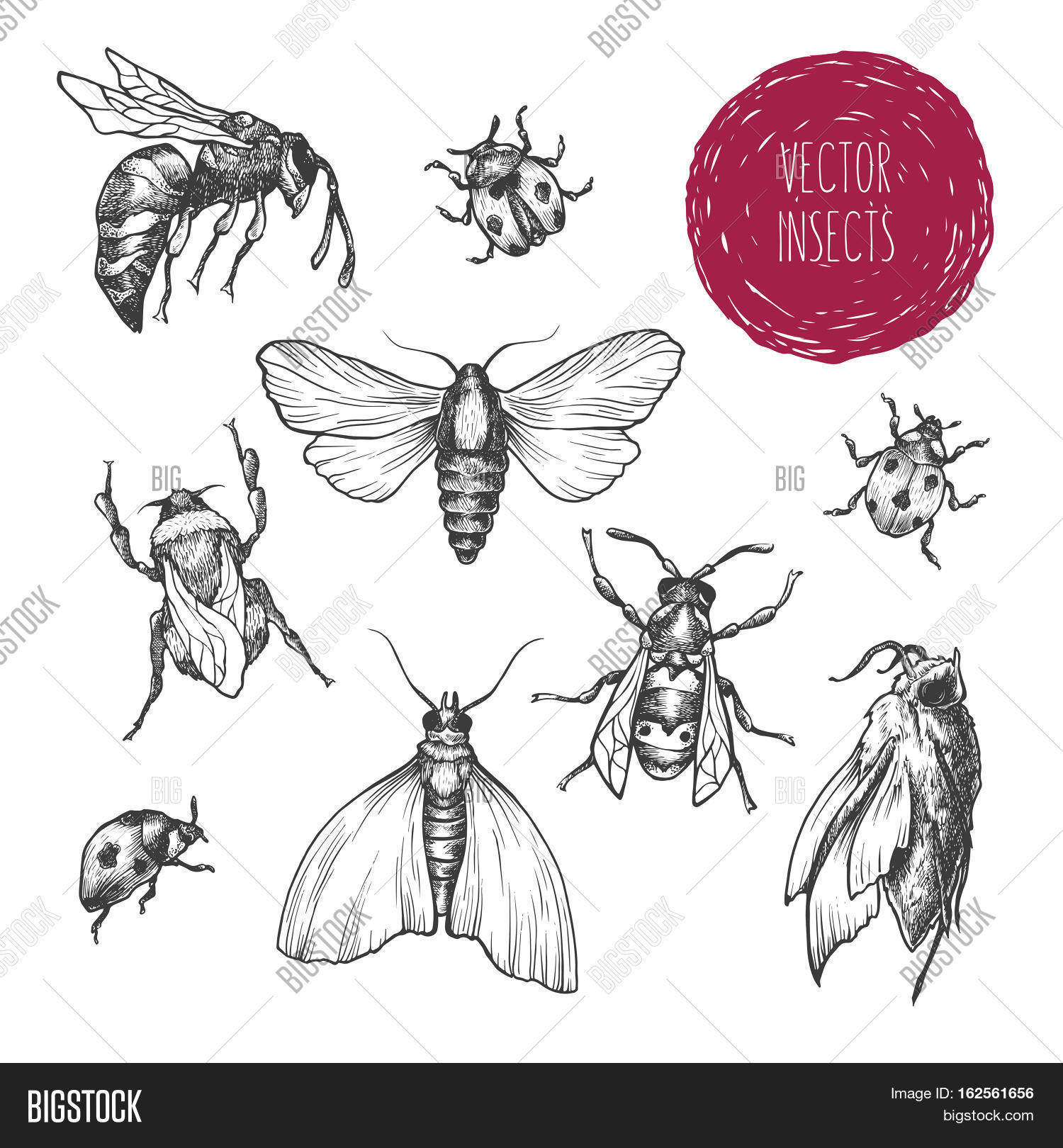 Set Hand Drawn Vector Vector & Photo (Free Trial) | Bigstock