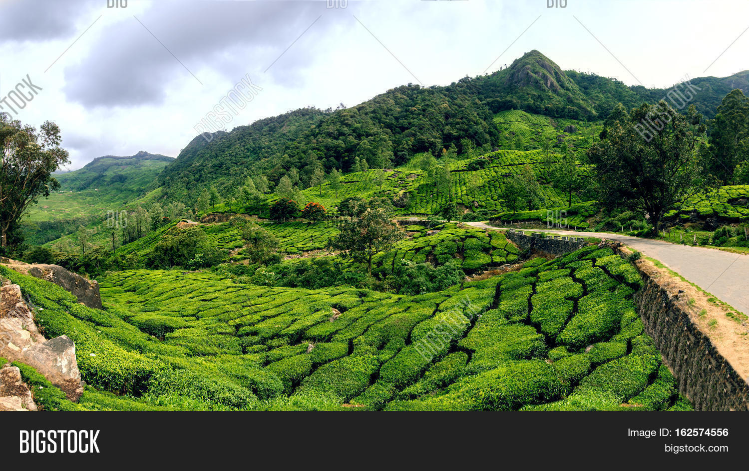 Panoramic View Munnar Image & Photo (Free Trial) | Bigstock