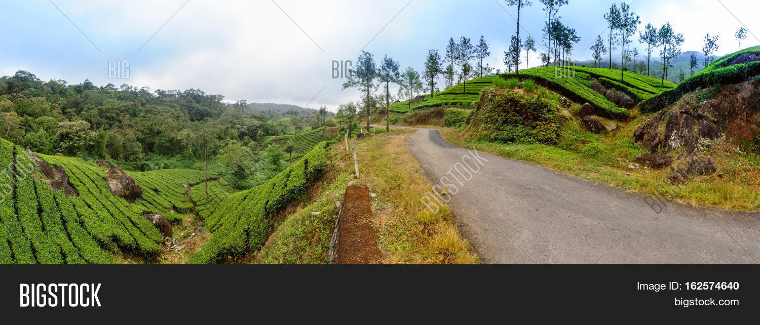 Panoramic View Munnar Image & Photo (Free Trial) | Bigstock