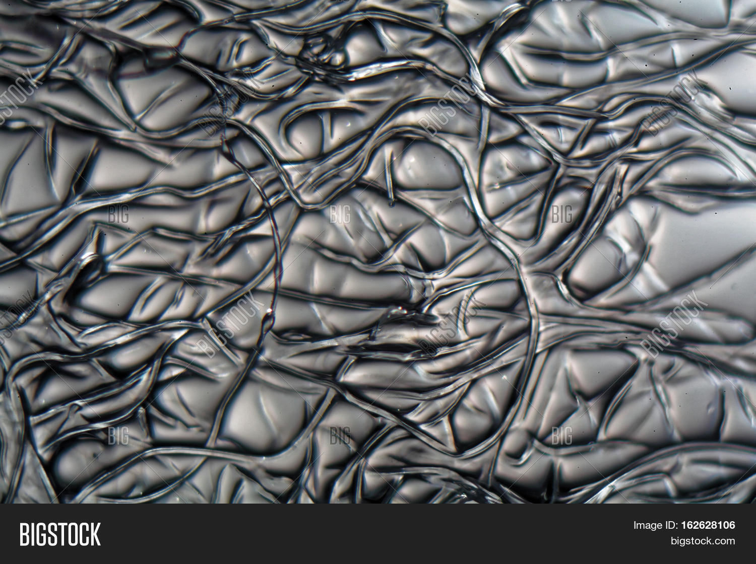 Fibers Cellulose Image & Photo (Free Trial) | Bigstock