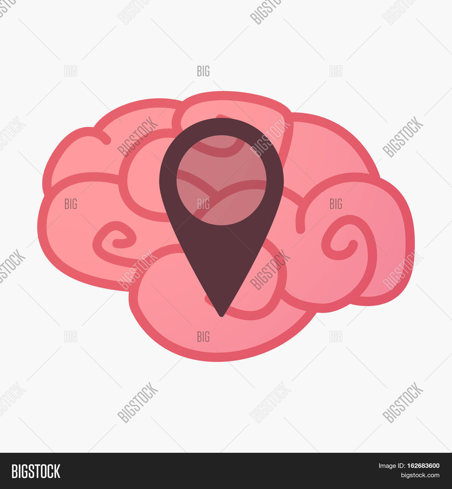 Isolated Brain Map Vector & Photo (Free Trial) | Bigstock