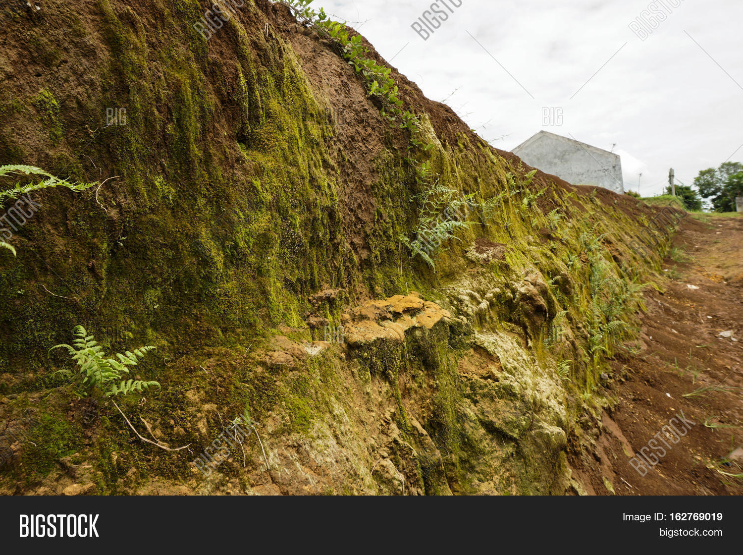 Pile Soil Grass Photo Image & Photo (Free Trial) | Bigstock
