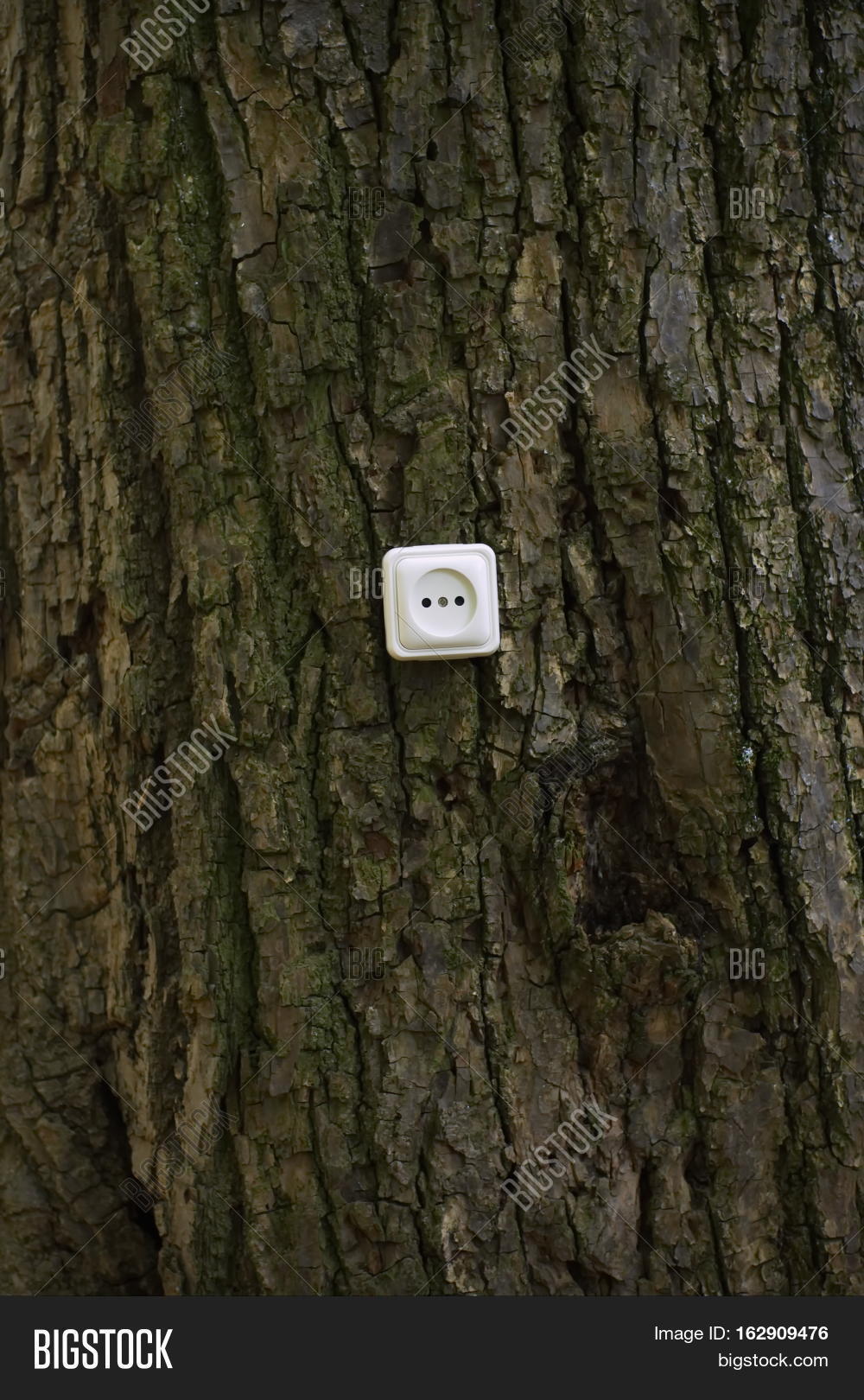 Electric Socket On Image & Photo (Free Trial) | Bigstock