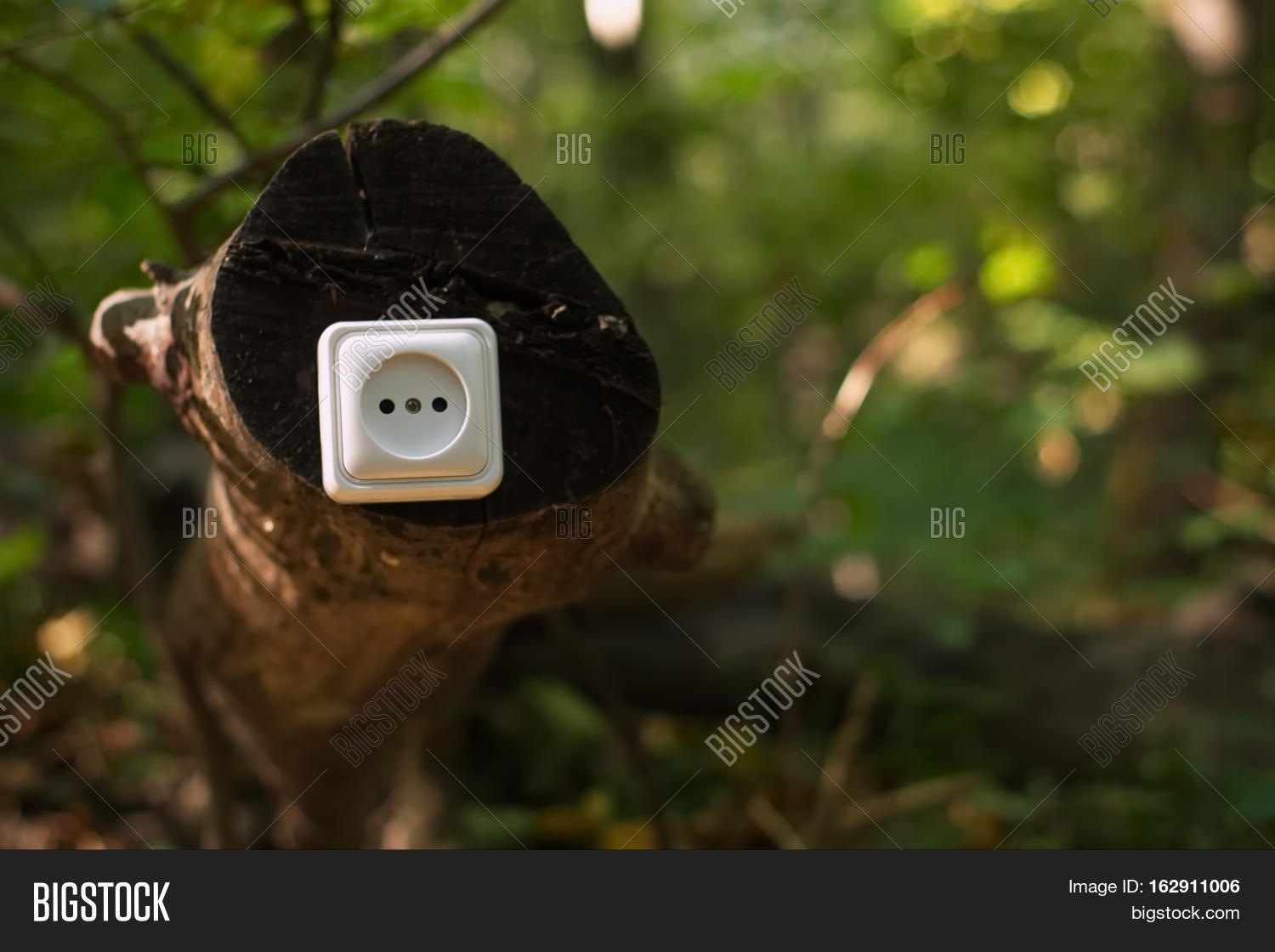 Electric Socket On Image & Photo (Free Trial) | Bigstock