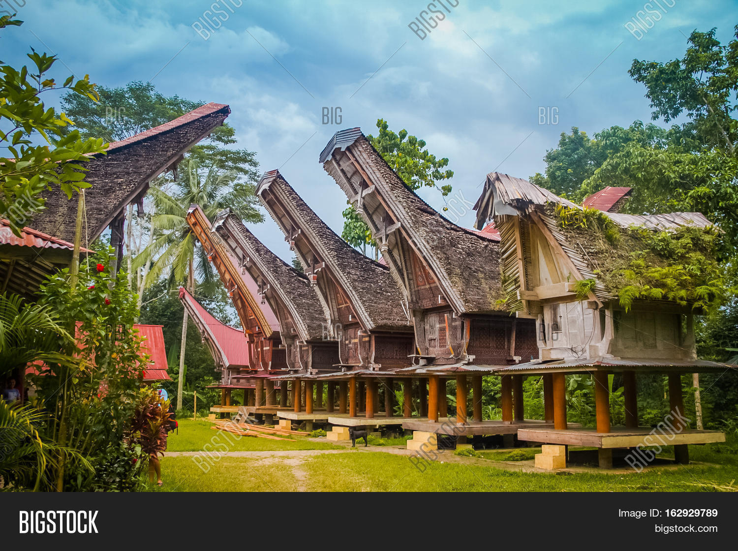 Traditional Ancestral Image & Photo (Free Trial) | Bigstock