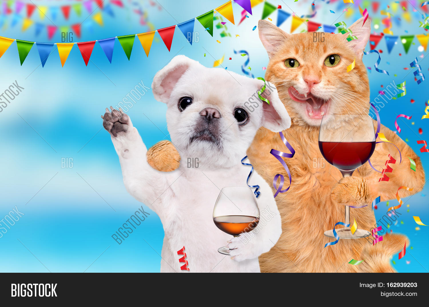 Cat Dog Celebrating Image & Photo (Free Trial) | Bigstock
