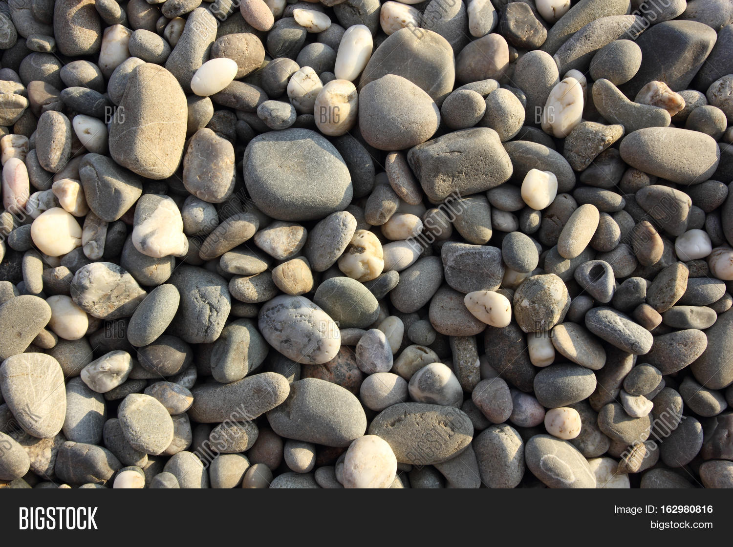 Pebbly Gray Beach Image & Photo (Free Trial) | Bigstock