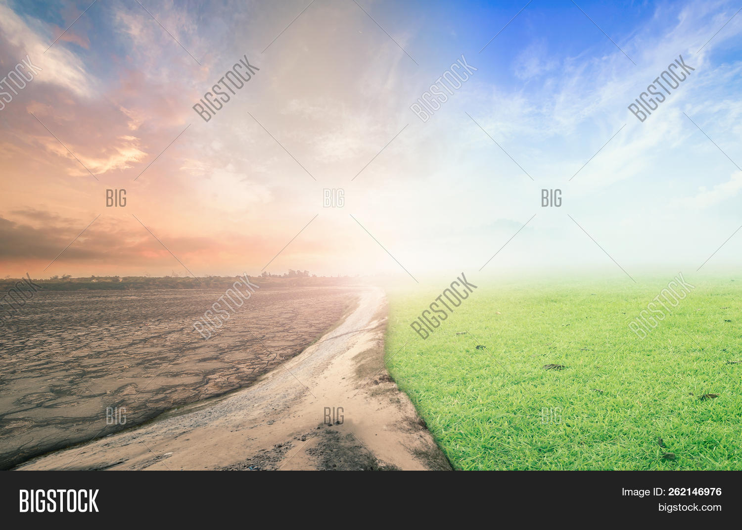 Environmental Issues Image & Photo (Free Trial) | Bigstock