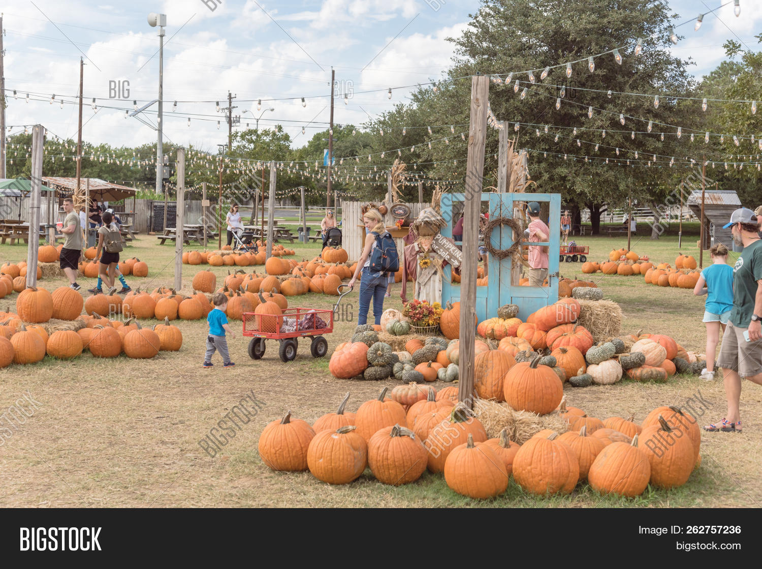 Pumpkins Decoration Image & Photo (Free Trial) | Bigstock