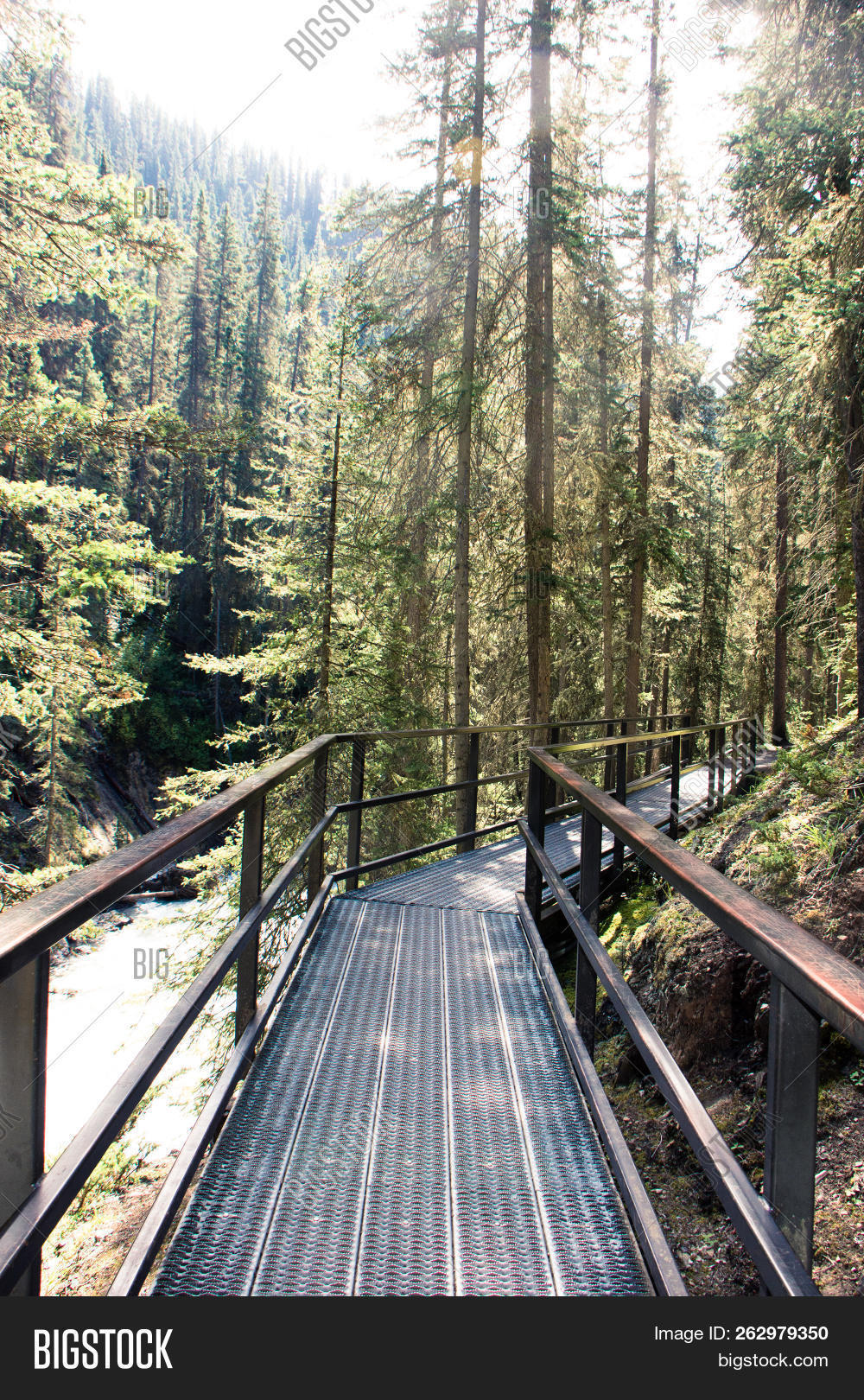 Catwalks Walking Image & Photo (Free Trial) | Bigstock