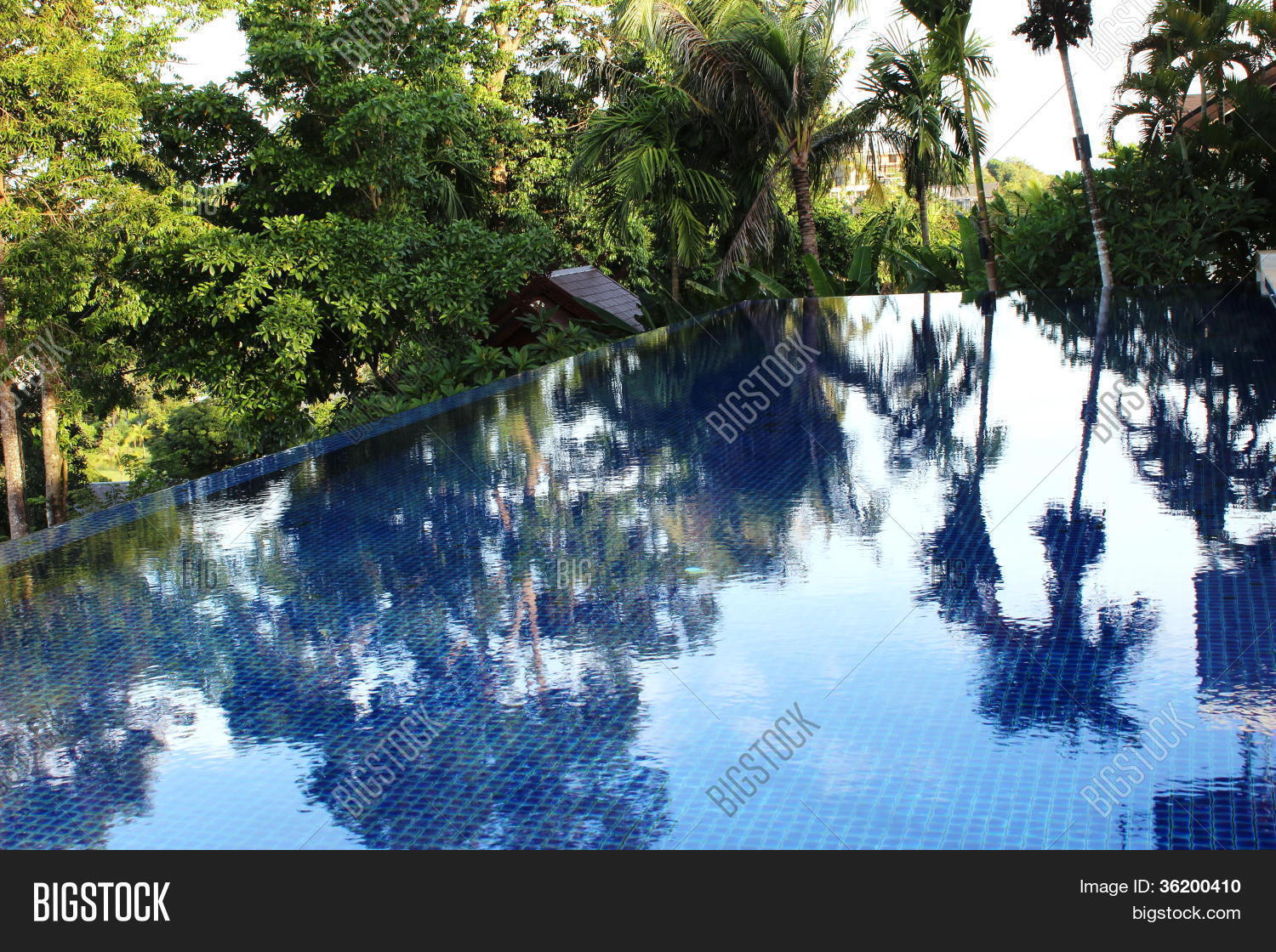 Swimming Pool Blue Image & Photo (Free Trial) | Bigstock