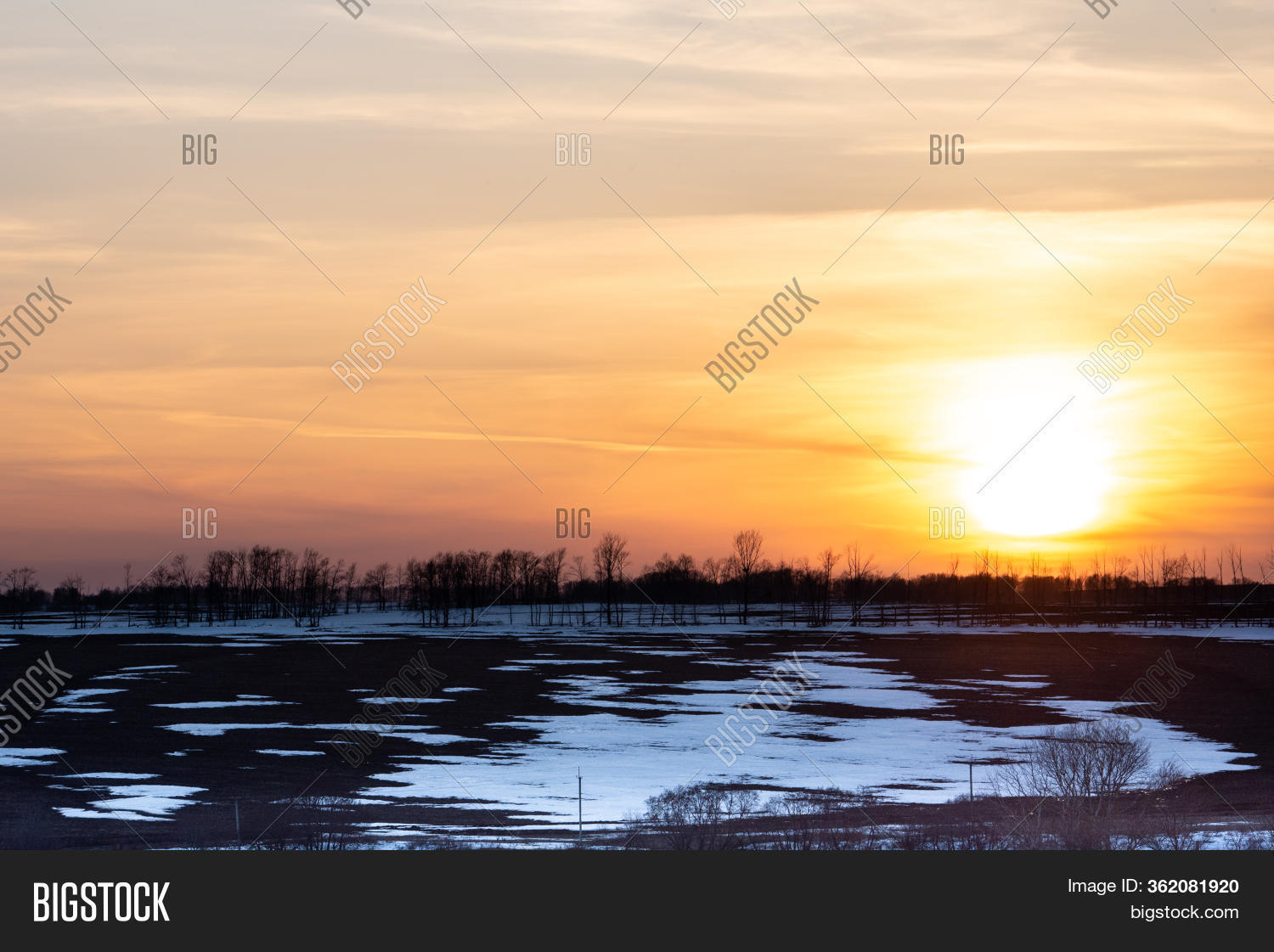 Early Spring. Image & Photo (Free Trial) | Bigstock