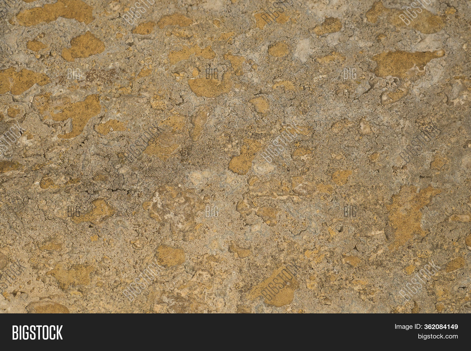 Rough Surface Texture Image & Photo (Free Trial) | Bigstock