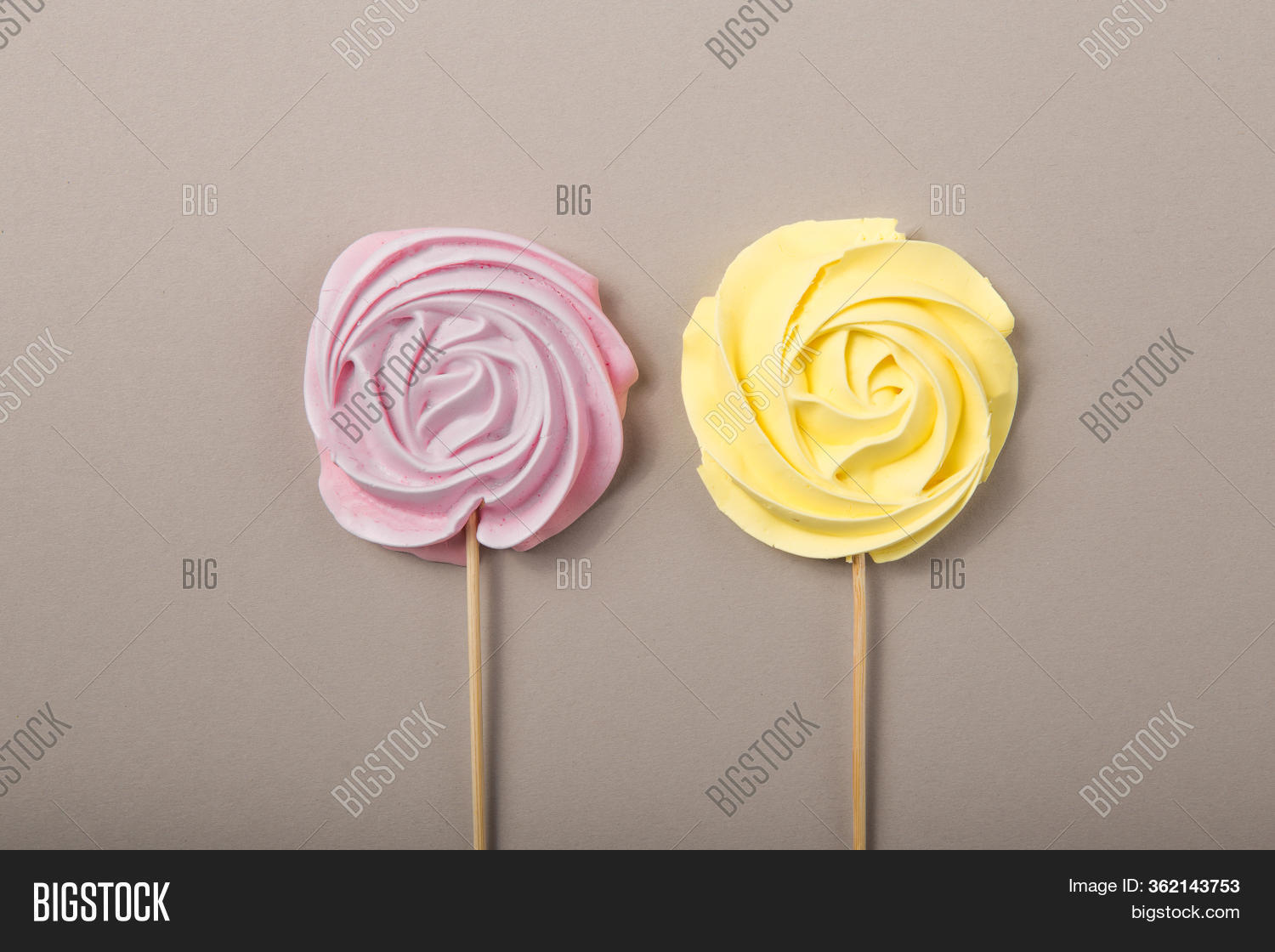 Pink, Yellow Rose Image & Photo (Free Trial) | Bigstock