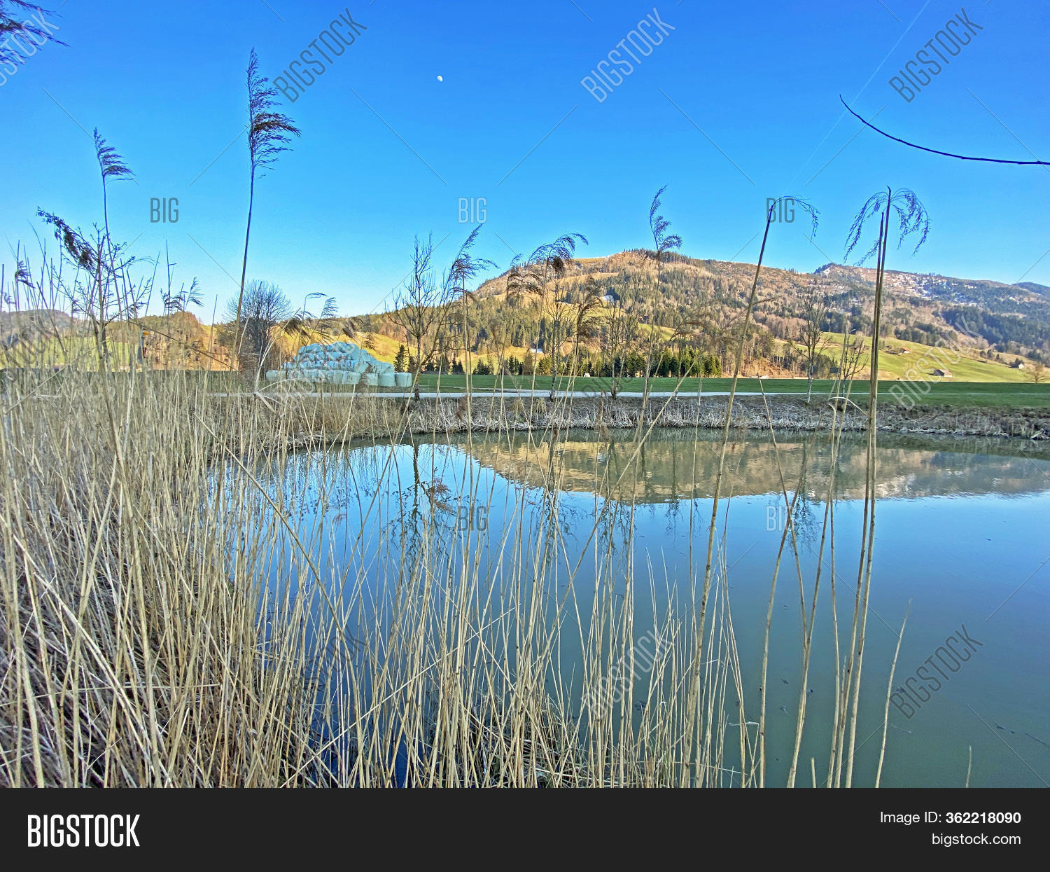 Pond Mini Lake On Image & Photo (Free Trial) | Bigstock