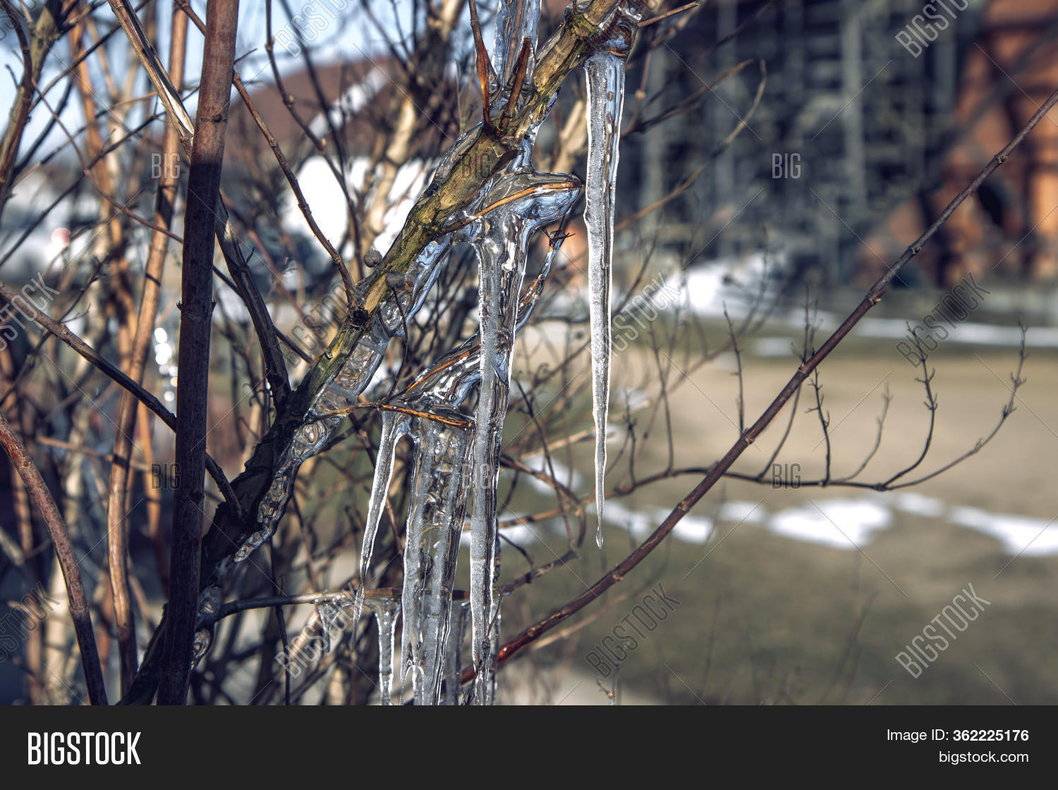 Thick Big Icicles Ice Image & Photo (Free Trial) | Bigstock