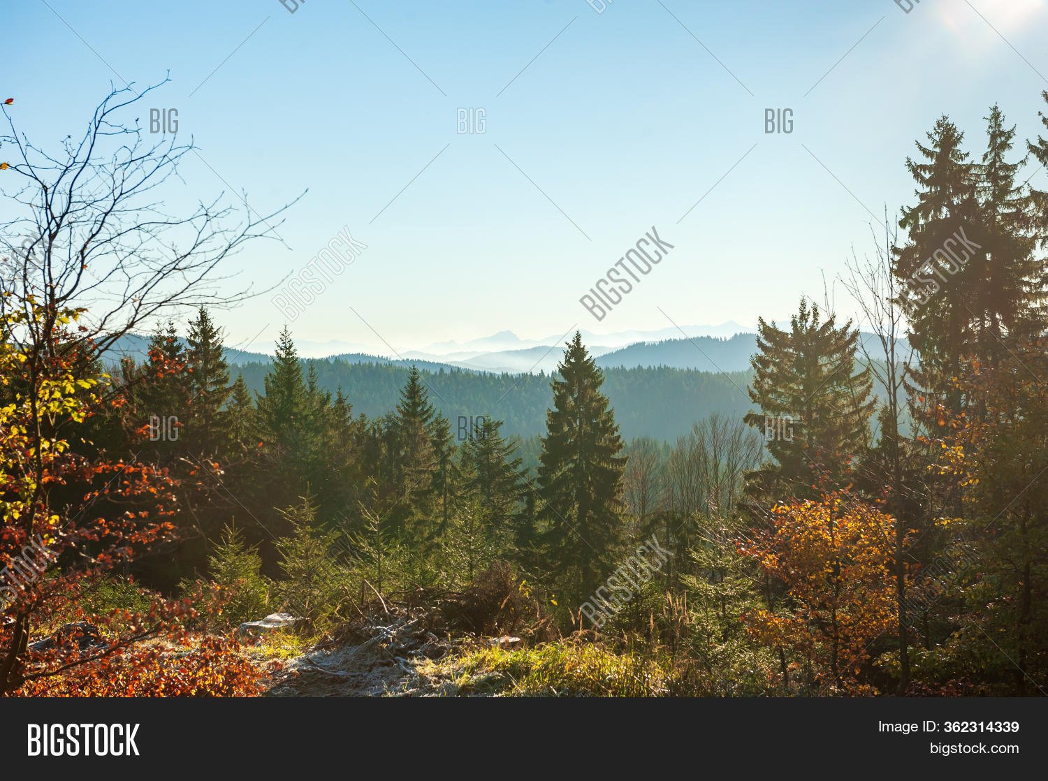 Warm Light Sunset Image & Photo (Free Trial) | Bigstock